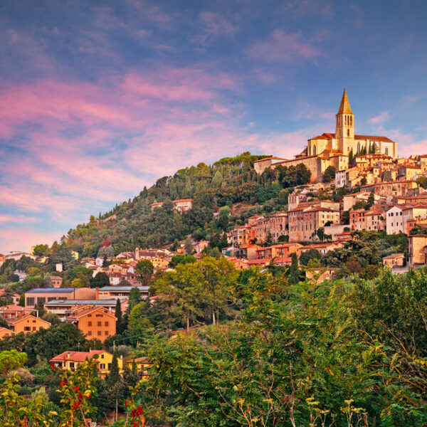 Workshops - Community Engagement