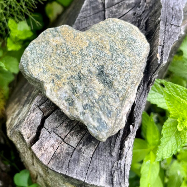 Final Arrangements: Family Planning for Funerals, Memorials ...