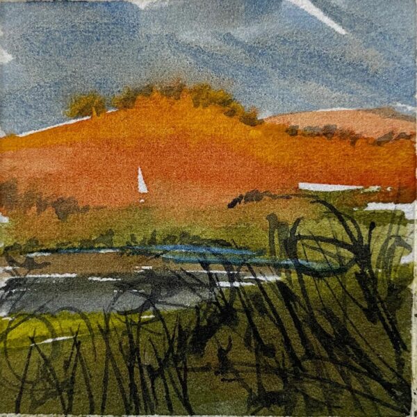 Workshops - Community Engagement