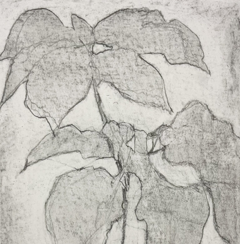Advanced Beginner/Intermediate Drawing - Community Engagement